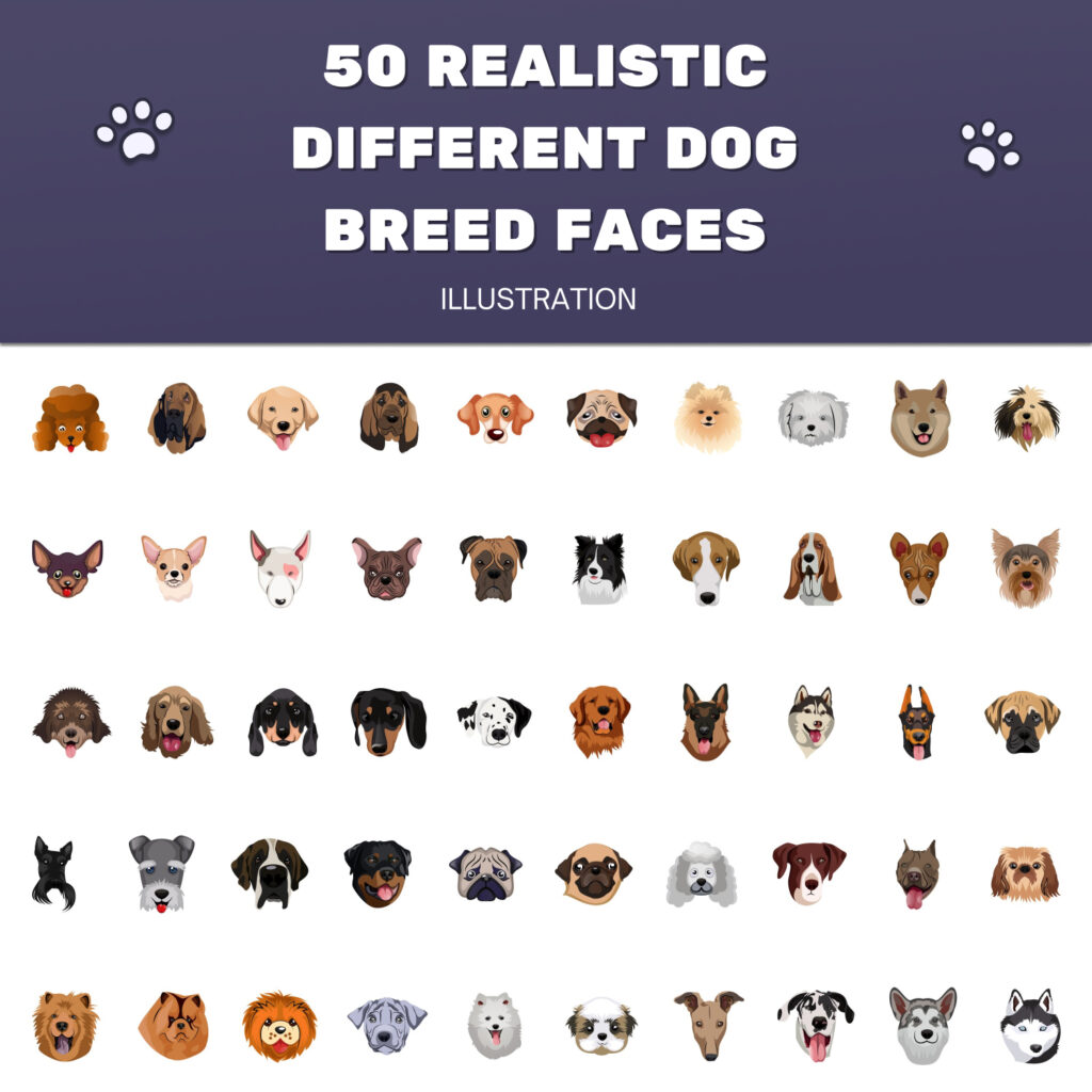 50 Realistic Different Dog Breed Faces Illustration – MasterBundles