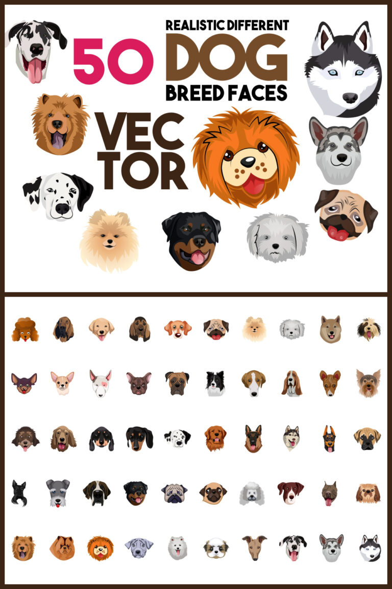 50 Realistic Different Dog Breed Faces Illustration – MasterBundles