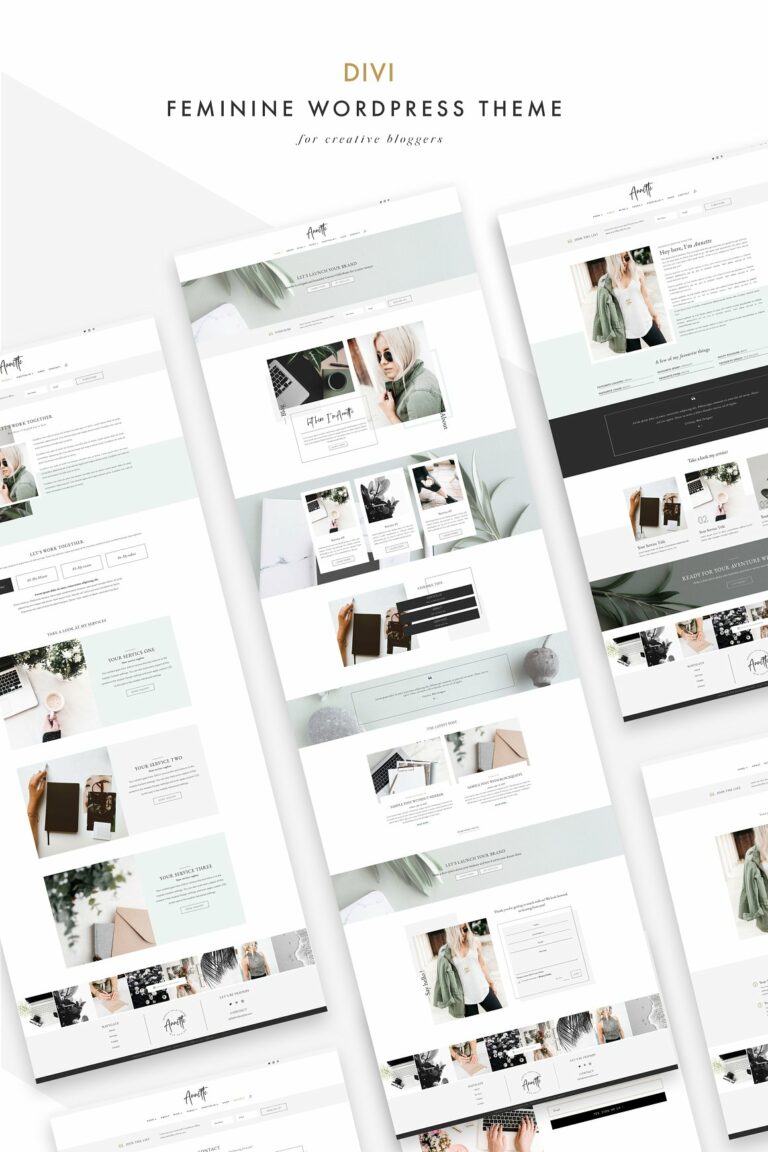 AnnettePro Business Divi Child Theme – MasterBundles
