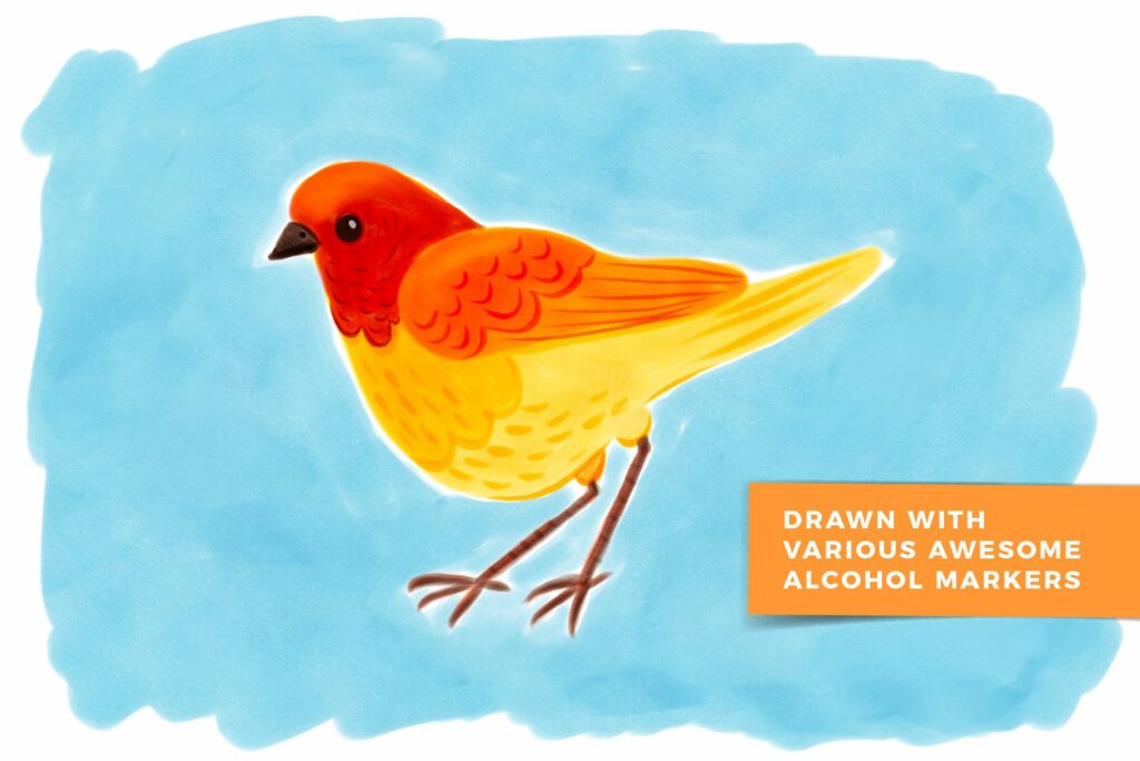 Awesome Alcohol Markers - Procreate – MasterBundles