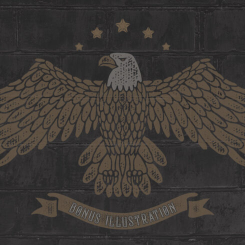 Bald Eagle Typeface | MasterBundles