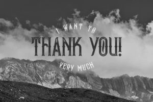 Bald Eagle Typeface - MasterBundles