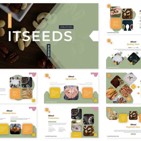 It Seeds Powerpoint Template – MasterBundles