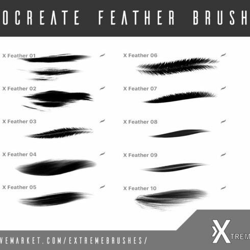 Procreate Feather Brushes – MasterBundles