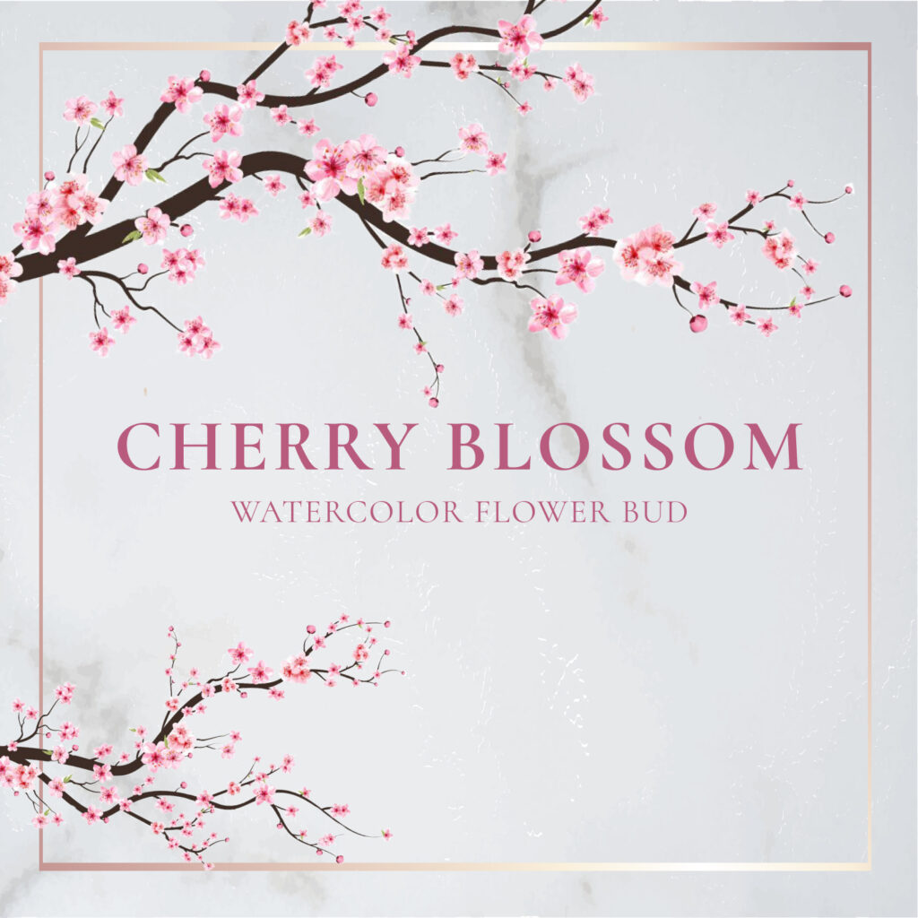 Cherry Blossom with Sakura Branch – MasterBundles