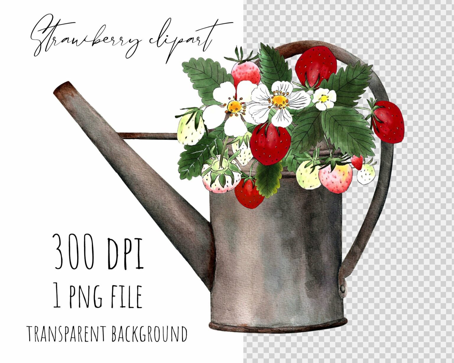 Strawberry Clipart. Summer Fruit PNG – MasterBundles