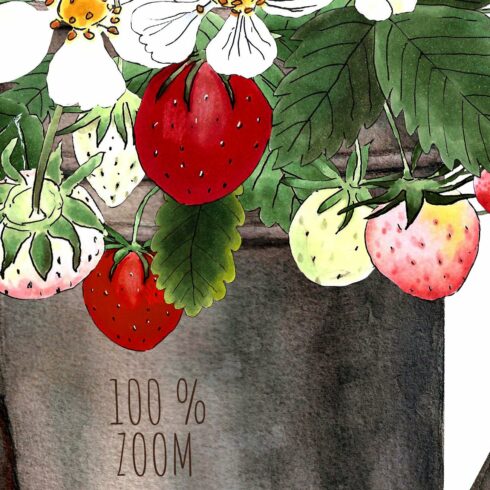 Strawberry Clipart. Summer Fruit PNG | Master Bundles