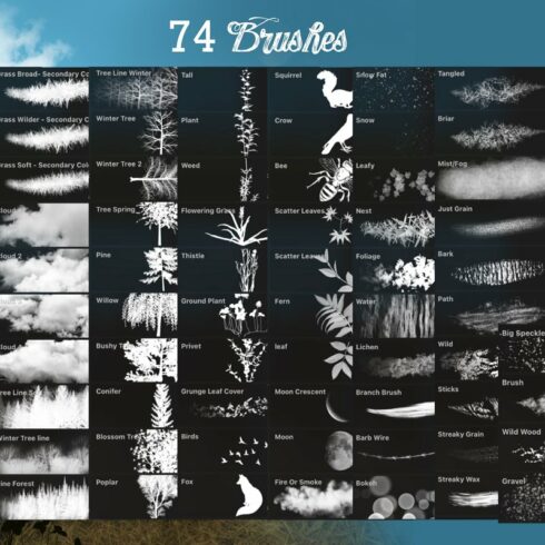 Forest Tales Procreate Brushes | MasterBundles
