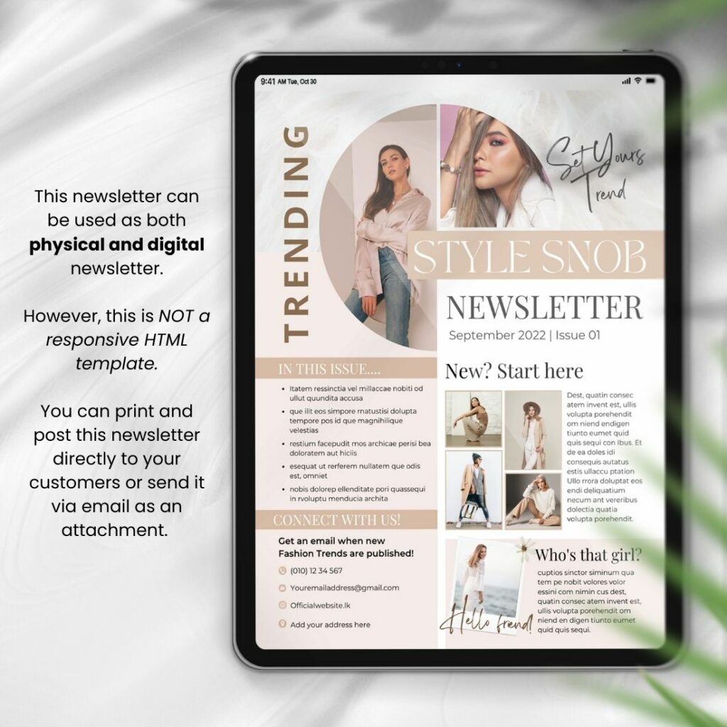 Fashion Canva Newsletter Template - Digital and print ready - MasterBundles