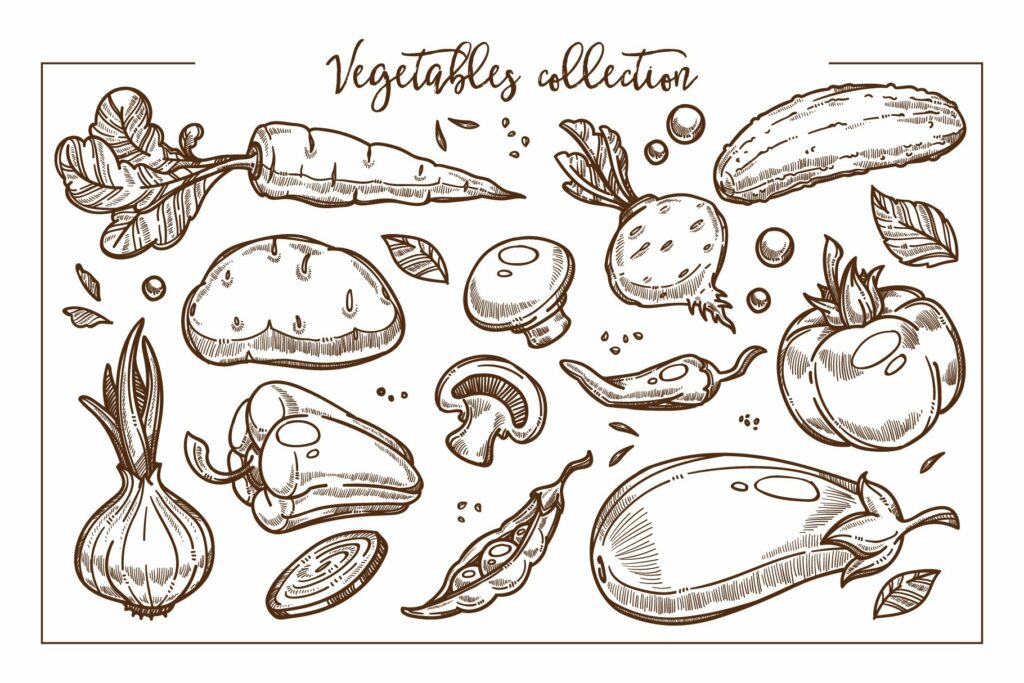 Food Sketch Collection – MasterBundles