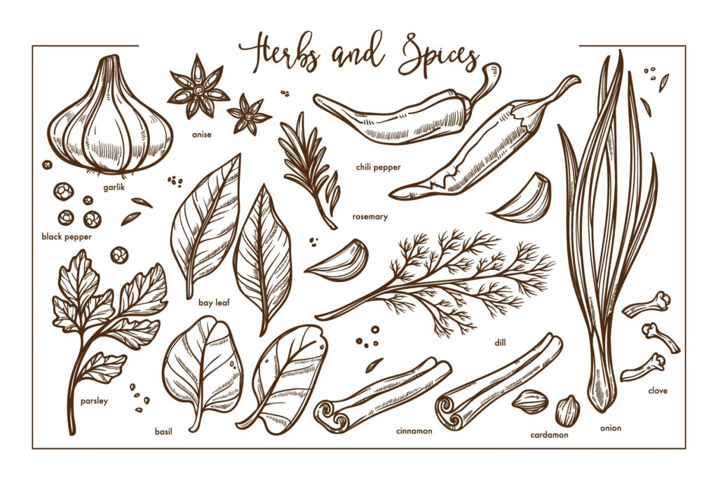 Food Sketch Collection – MasterBundles