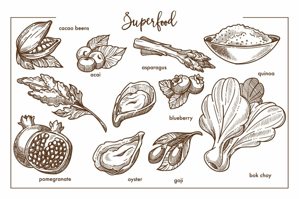 Food Sketch Collection – MasterBundles
