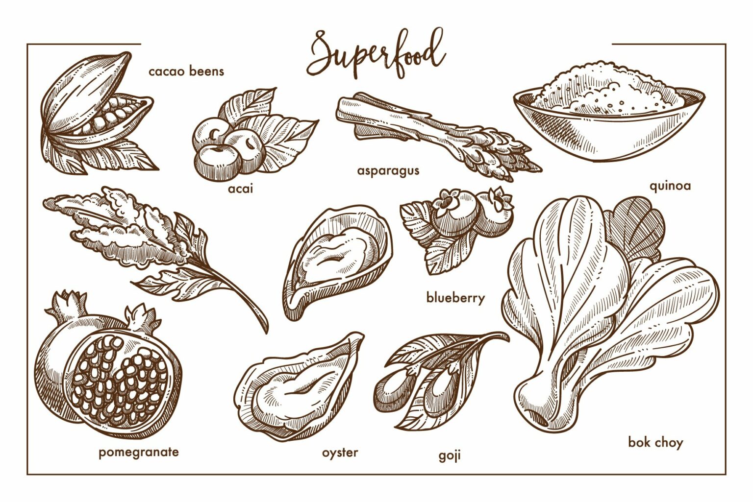 Food Sketch Collection – MasterBundles