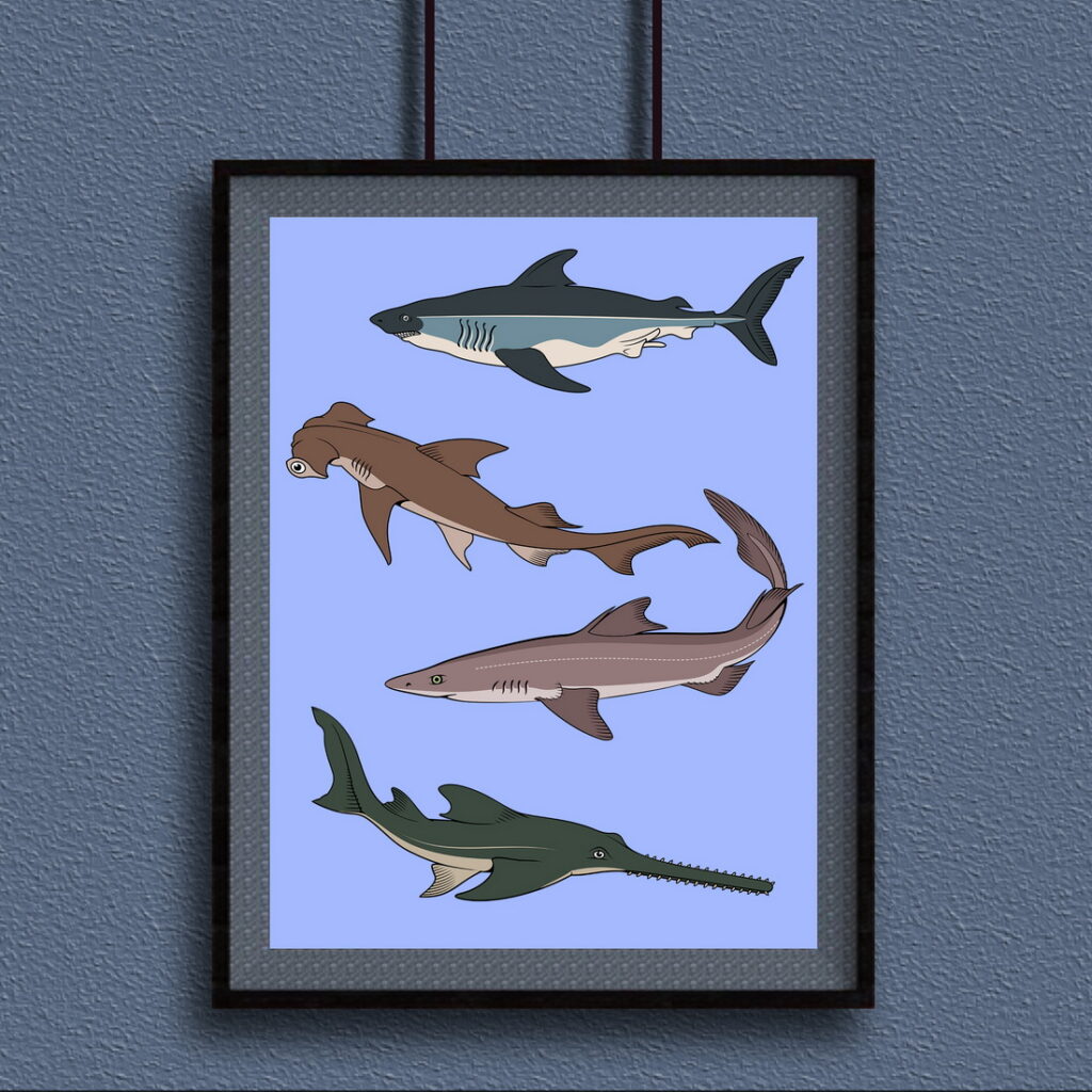 Sharks 4 Species Cliparts Bundle - MasterBundles