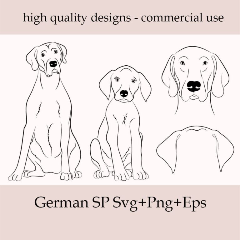 German Shorthaired Pointer SVG – MasterBundles