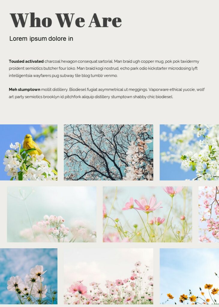 Hello Spring Google Slides Theme – MasterBundles
