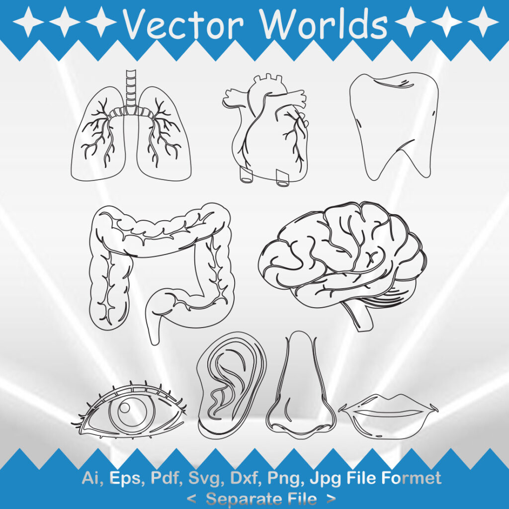 Body Parts SVG Vector Design - MasterBundles