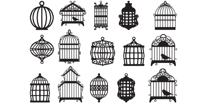 Bird Cage SVG Design Graphics - MasterBundles