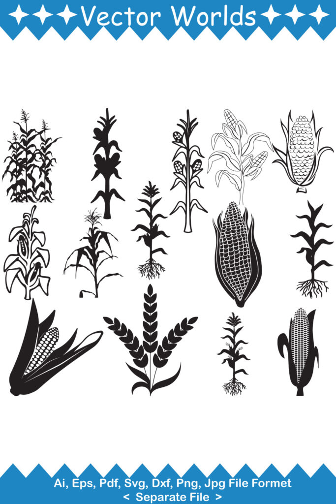 Corn Stalk SVG Vector Design - MasterBundles