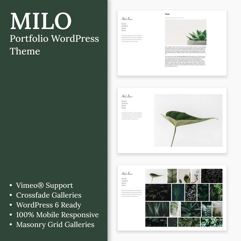 Milo - Portfolio WordPress Theme – MasterBundles