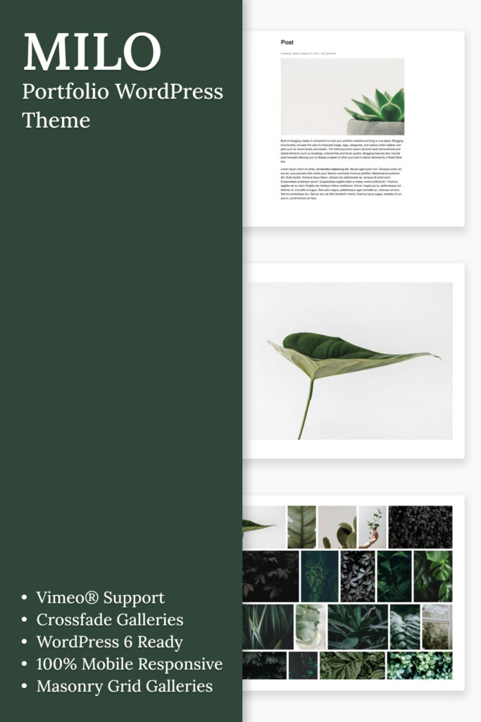 Milo - Portfolio WordPress Theme – MasterBundles