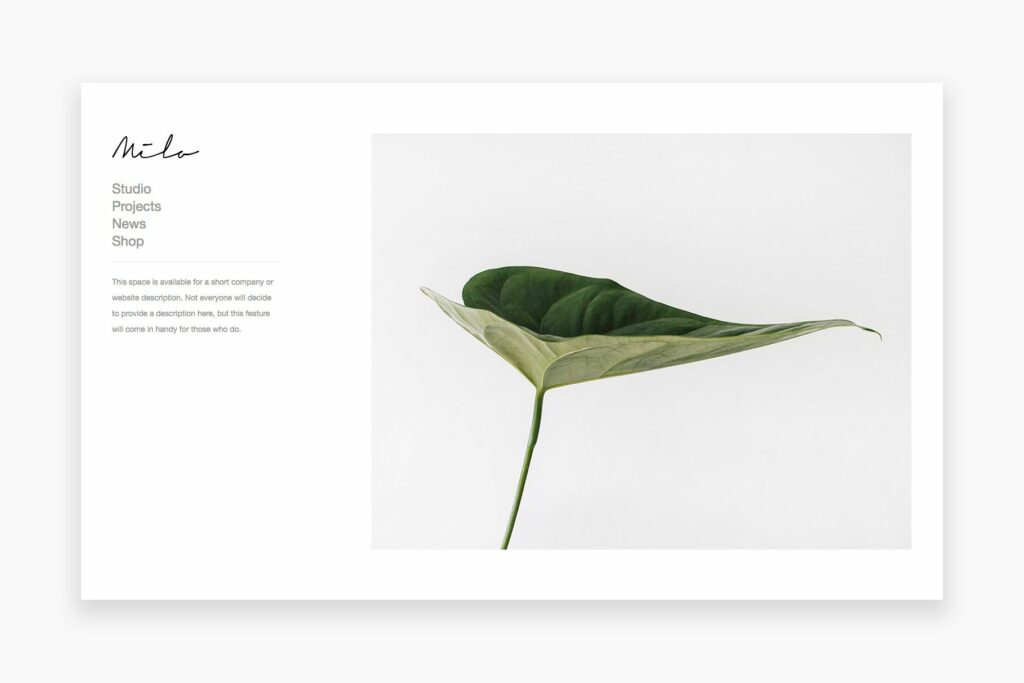 Milo - Portfolio WordPress Theme – MasterBundles