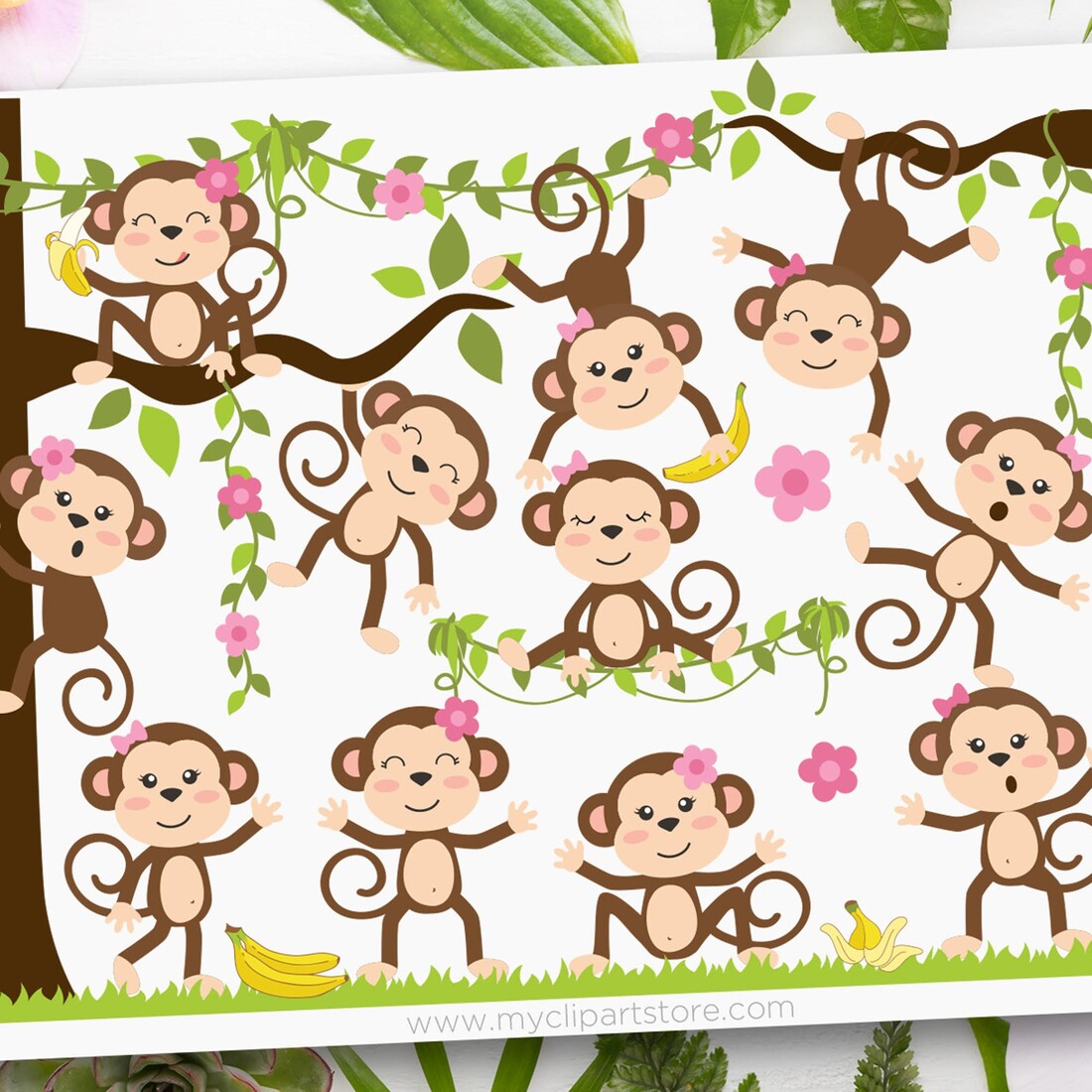 Monkey Girls - Vector Clipart – MasterBundles