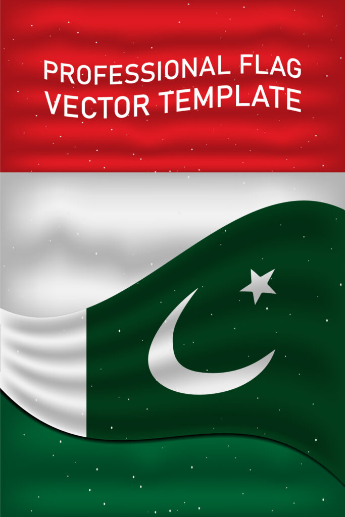 Pakistan Flag Professional Vector Illustration - MasterBundles