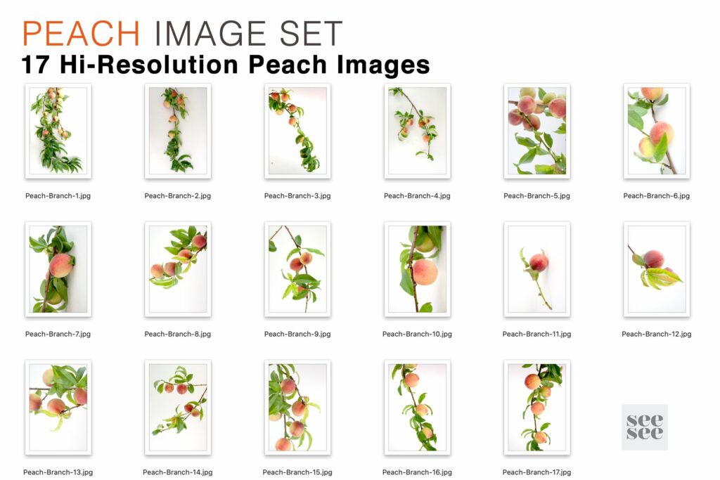 17 Hi-Res Peach Branch Image Set – MasterBundles