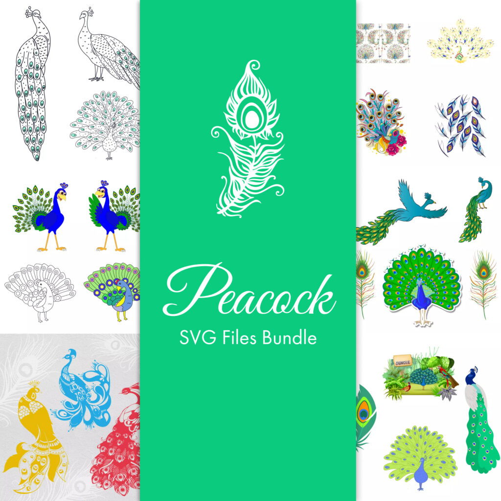 Peacock SVG, Peacock Clipart – MasterBundles