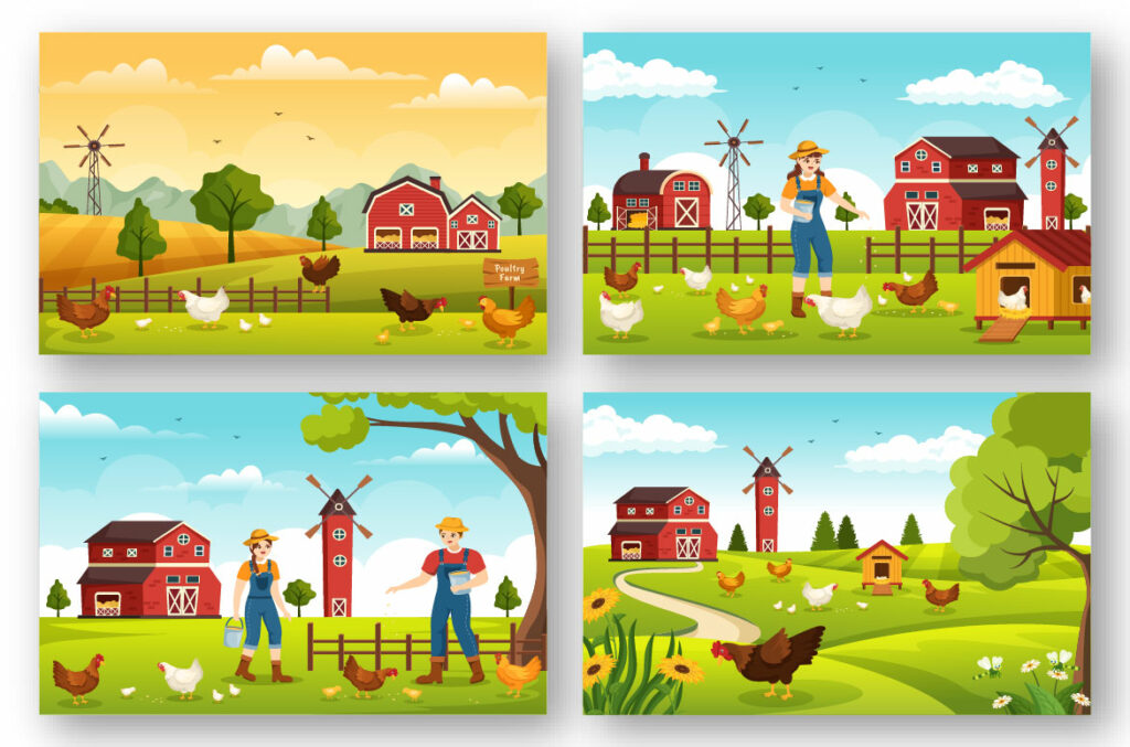 17 Poultry Farm Design Illustration - MasterBundles