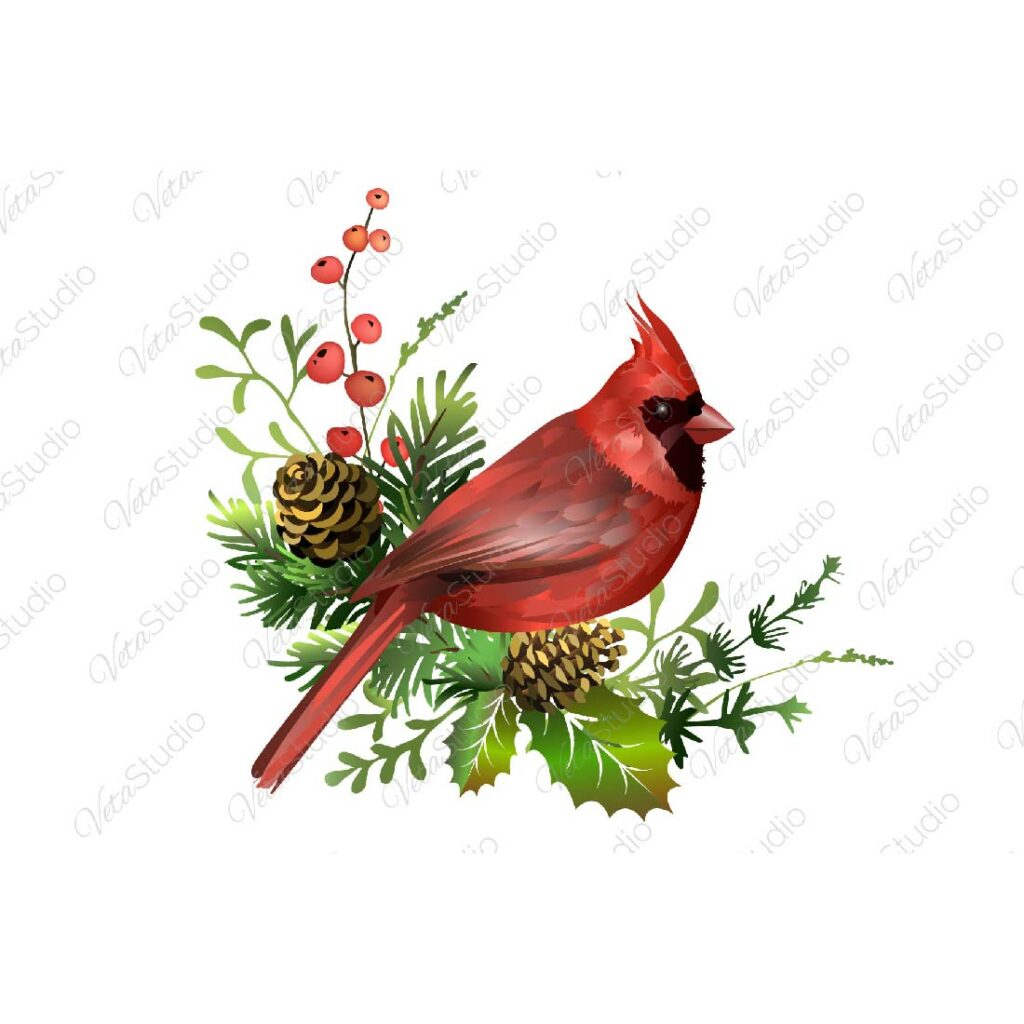 Red Cardinal Bird With Pine Branch. - MasterBundles