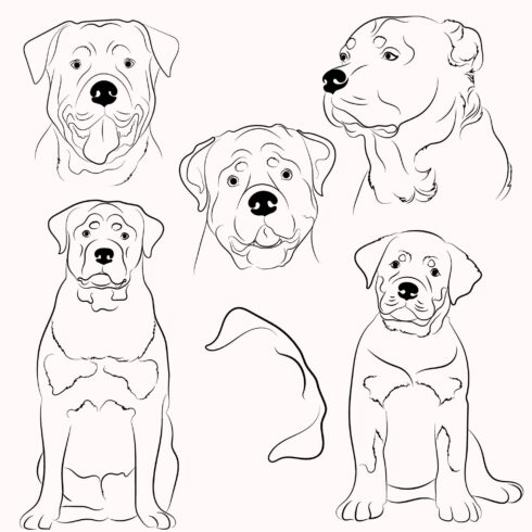 Rottweiler SVG – MasterBundles