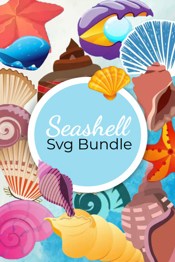 Seashell SVG Bundle – MasterBundles