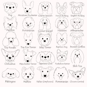 Dog Breed SVG Minimal Style – MasterBundles