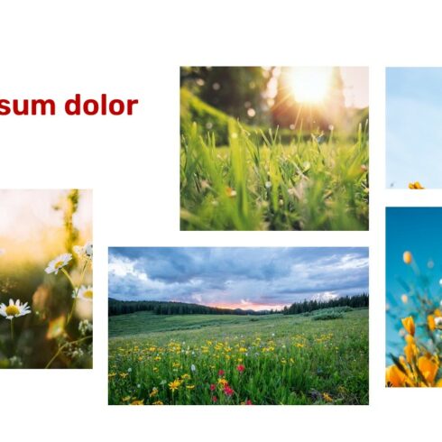 Smell Spring Keynote Template – MasterBundles