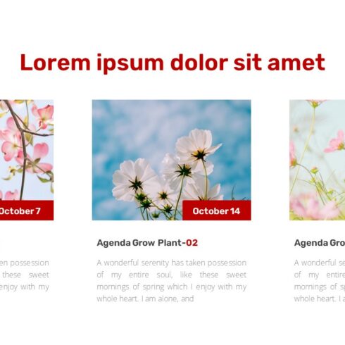 Smell Spring Keynote Template – MasterBundles