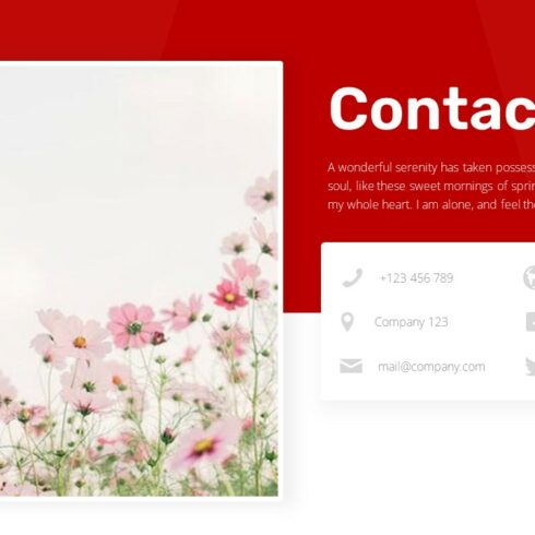 Smell Spring Keynote Template – MasterBundles