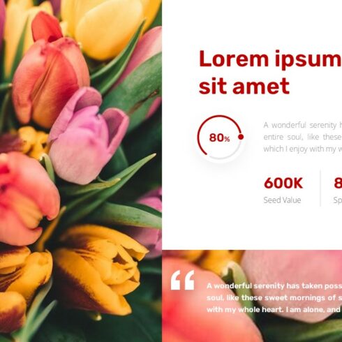 Smell Spring Keynote Template – MasterBundles