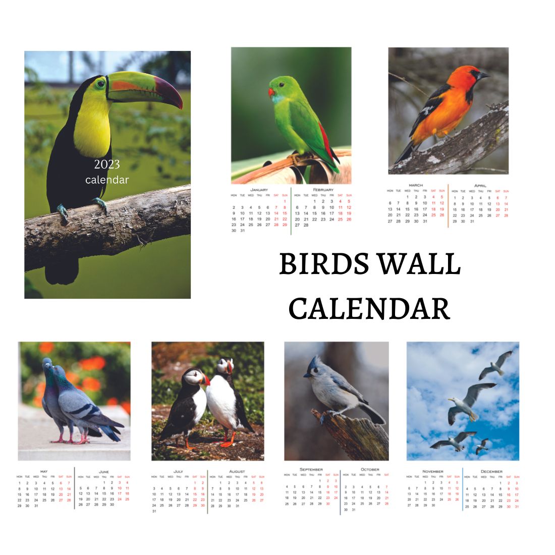 2023 calendars bundle - MasterBundles