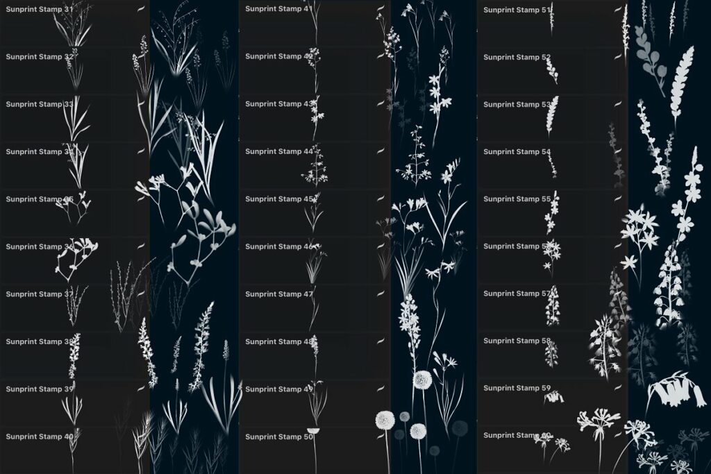 Sunprint Brushes Procreate/PS – MasterBundles