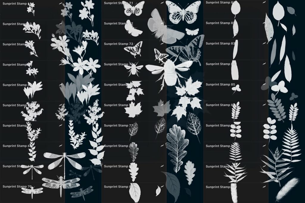 Sunprint Brushes Procreate/PS – MasterBundles