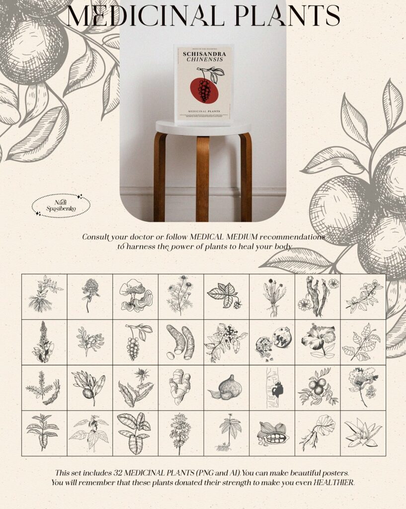 Women's Health Guide – MasterBundles