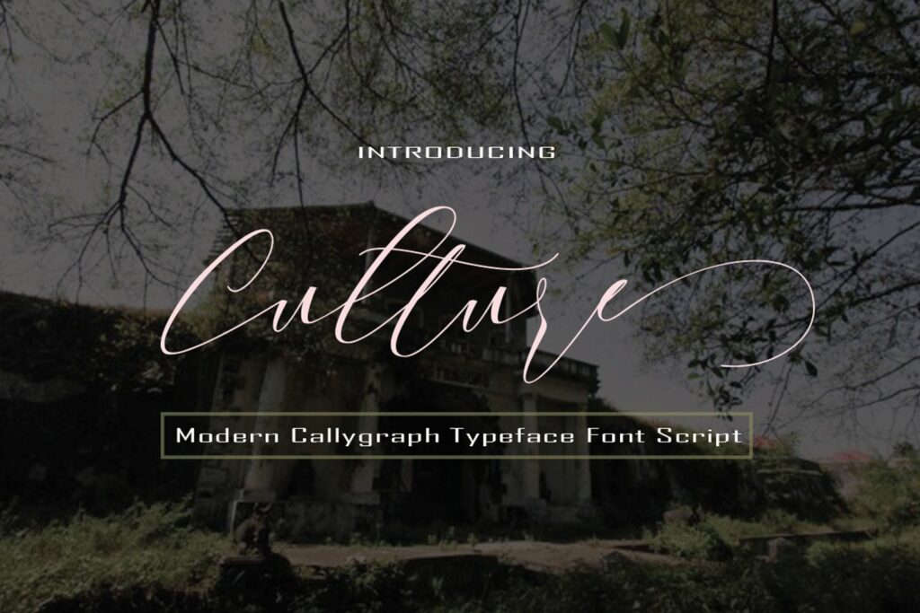 Culture Calligraphy Font – MasterBundles