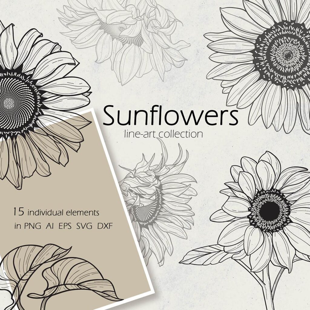 Sunflower Line Art Collection - MasterBundles