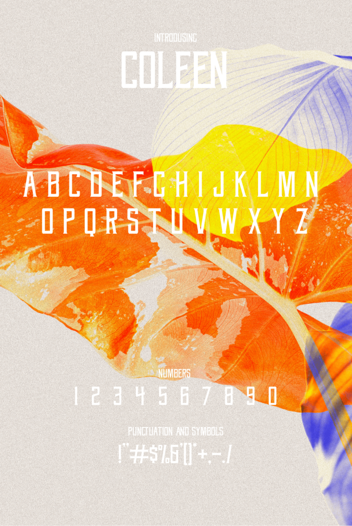 Coleen Font – MasterBundles