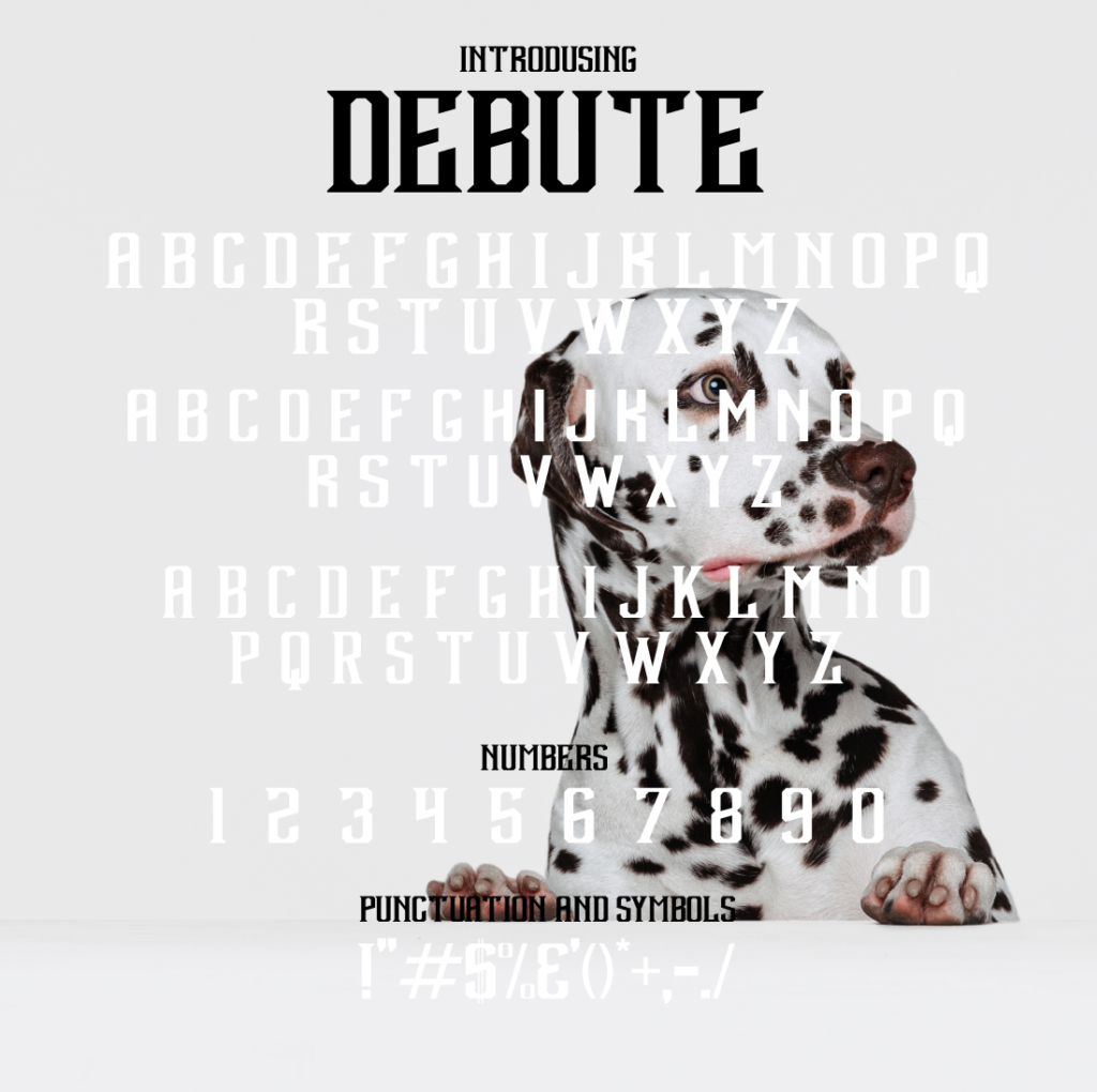 Sly Light Font | MasterBundles