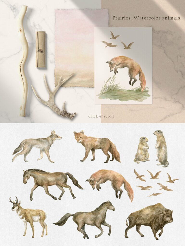 Prairies. American Animals & Nature – MasterBundles