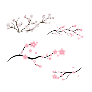 Sakura SVG Designs – MasterBundles
