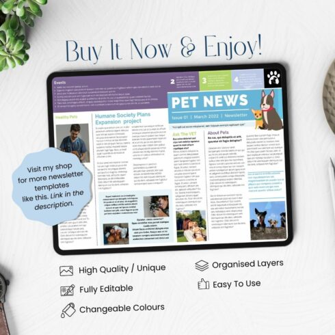 Pet Care Newsletter Canva Template - MasterBundles